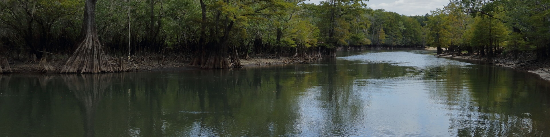 Um rio calmo rodeado por árvores densas e um céu limpo.