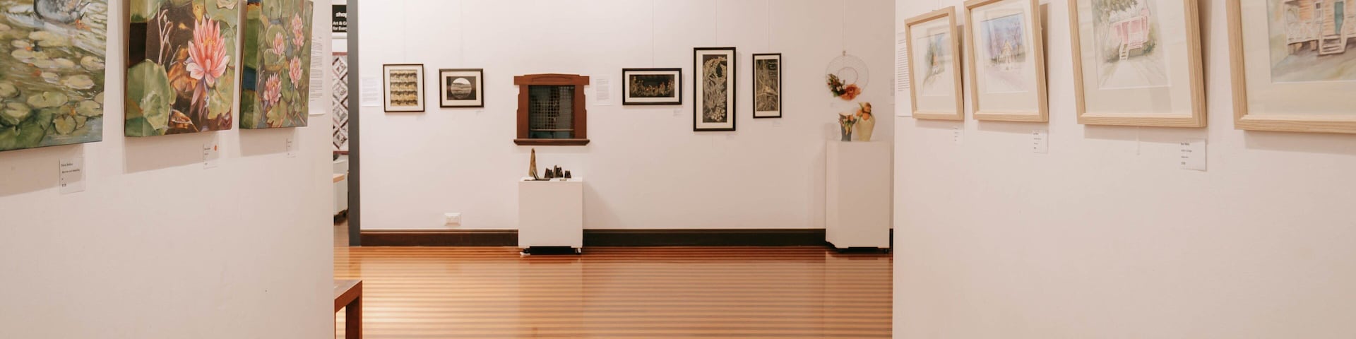 Kingaroy Art Gallery showing art and interior views