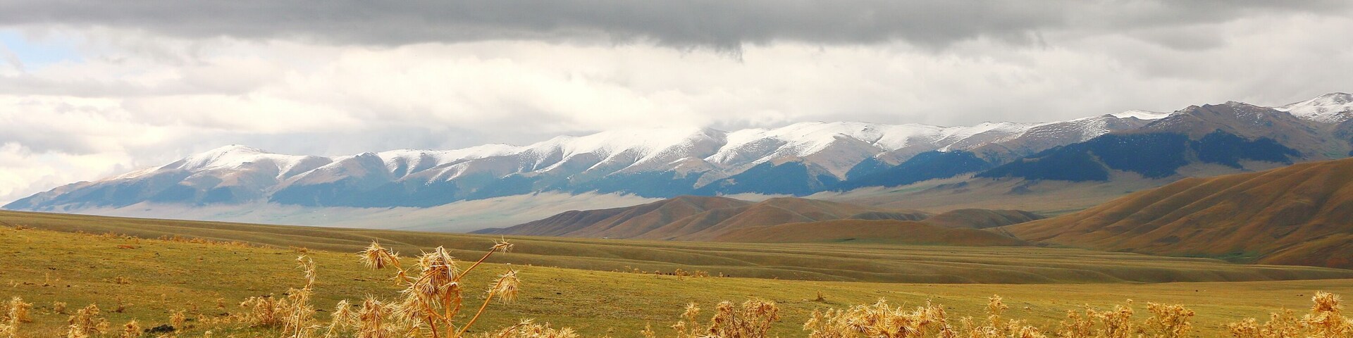Последние бойцы лета.
The last fighters of the summer.