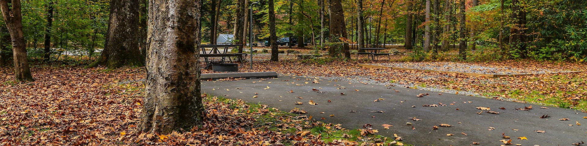 Um parque de campismo arborizado com um caminho pavimentado, mesas de piquenique e uma grande rocha.