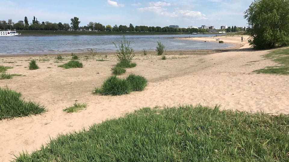 River beach near Düsseldorf.