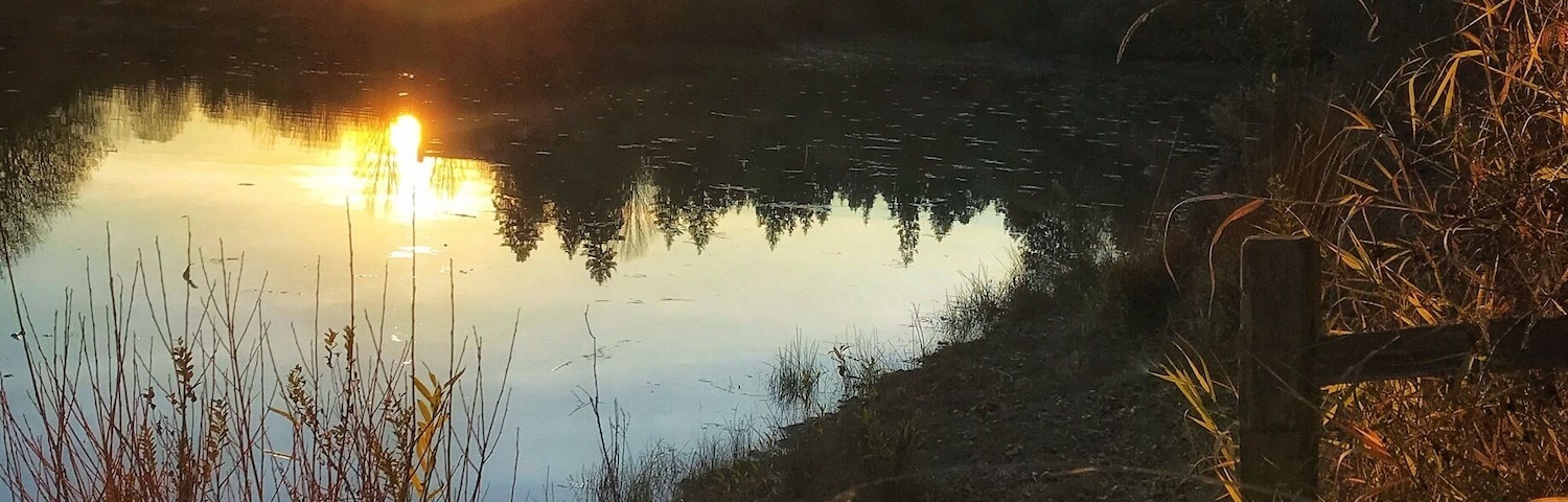 Perfect fall evening. #Sunset #bluesky #autumn #water #refection #sunlight #dog