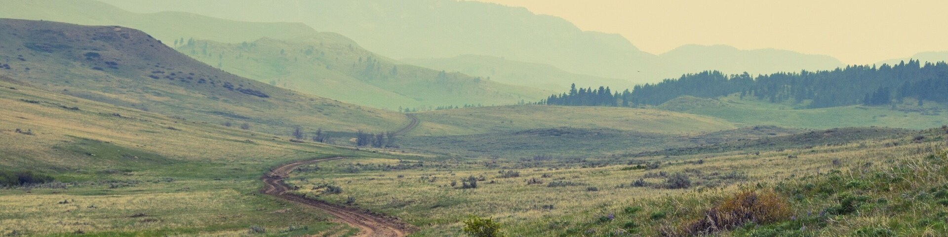 Uma estrada de terra sinuosa atravessa uma paisagem acidentada, com montanhas ao longe e uma área arborizada.