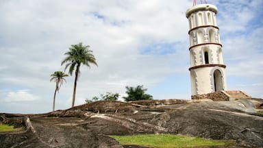 Uma torre branca com antena vermelha, palmeiras e terreno rochoso.
