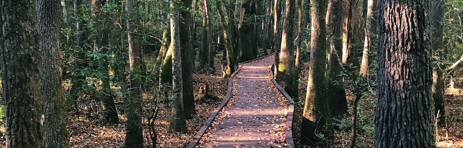 The boardwalk at Kalmia Gardens
