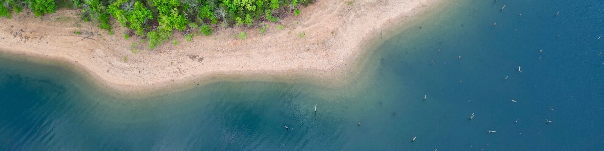 Paisagem costeira com praia arenosa, floresta verde densa e águas azul-claras.