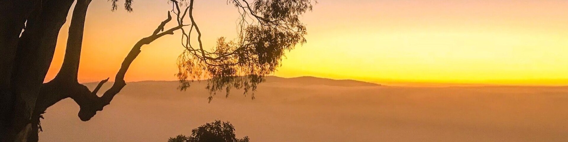 Thick fog and a winter sunrise above Canberra
#canberra #bike