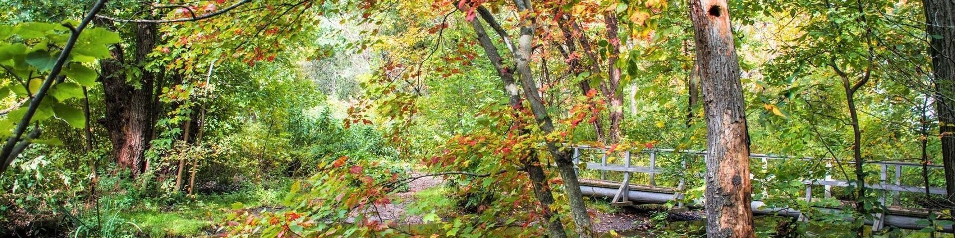 The Beaver Brook Historic Reservation is located near Waverley Square...Massachusetts A nice little day park for a quick hike