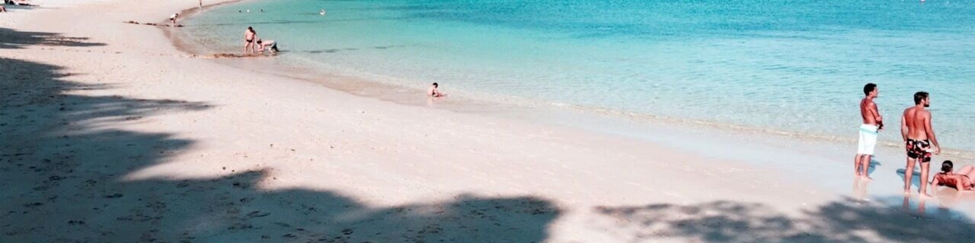 Praia de Galapos, Arrabida Natural Park, Setúbal - Portugal.
One more amazing beach where you can relax and enjoy a great moments! You will find 2 restaurant/bars in there. I recommend the visit...
#praiadegalapos #setubal #serradaarrabida #waterlust #portugal #beach #summer #nationalpark