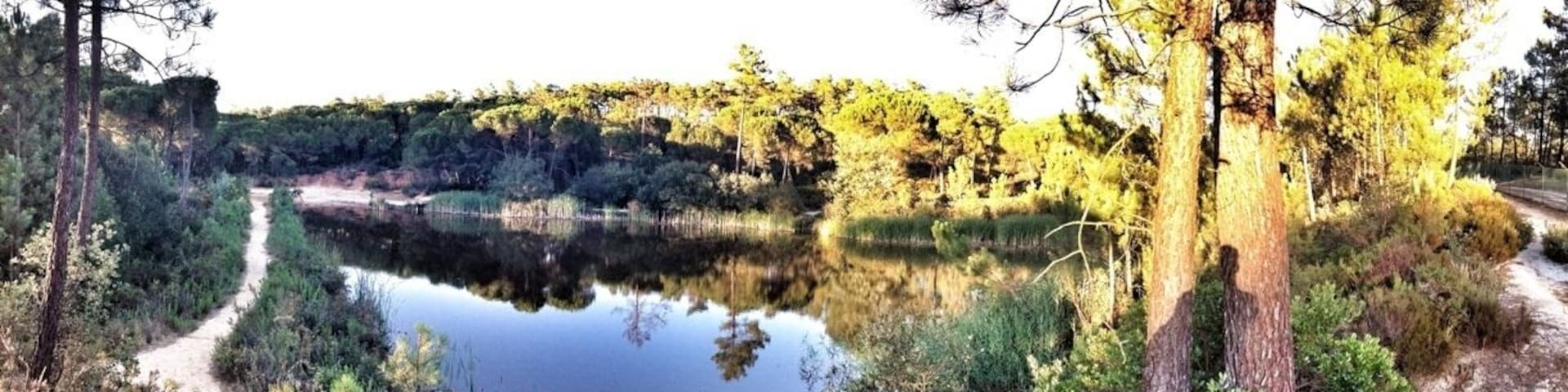 National Machada woods, nice place to running and bike ride