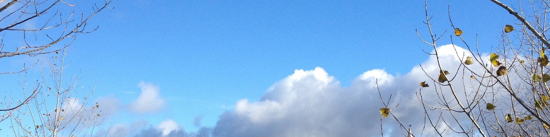 my little paradise 💙
#miuzeladocoa #portugal
#UrbanJungle