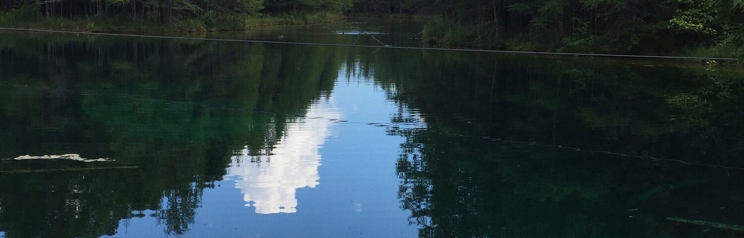 #lifeatexpedia #mirrorimage #puremichigan