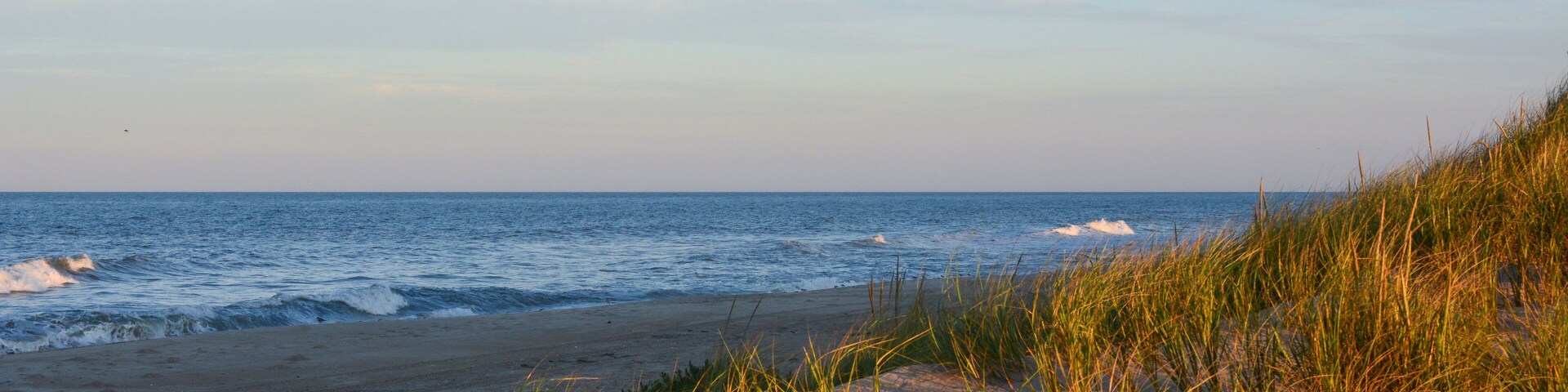 Uma praia com dunas de areia e grama.