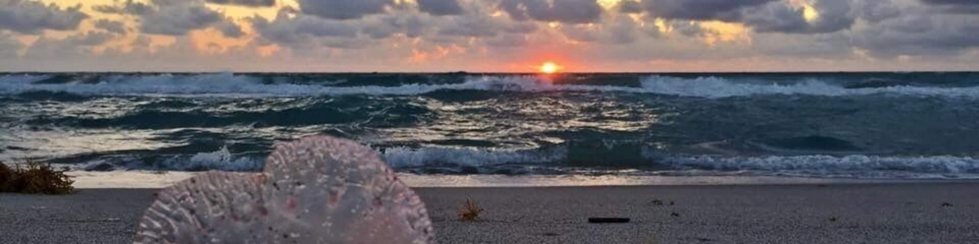 Walking along the beach in the morning and noticed a man-o-war jellyfish. Made for a pretty cool pic. Carlin Park is a perfect place to watch the sunrise or take a walk after a long day at work.