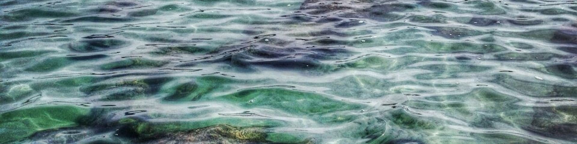 Um lago translúcido com rochas visíveis e uma linha de costa distante com casas.