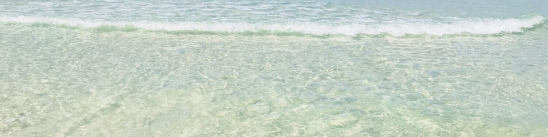 This is The Grand Lagoon at St Andrew 
State Park. We love this area from St George Island down 30A are the most beautiful beaches in the world.