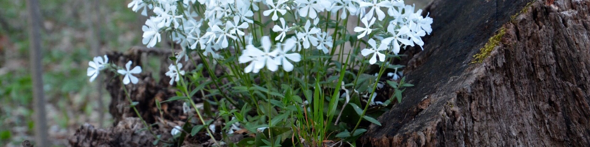 You never know what surprises nature has in store for you.