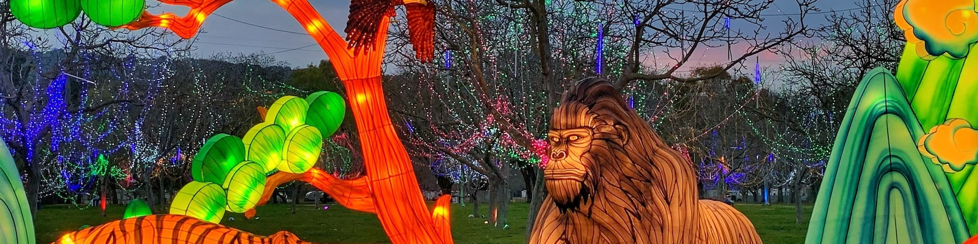 Beautiful winter lantern festival in Pleasanton. Fun for the whole family.