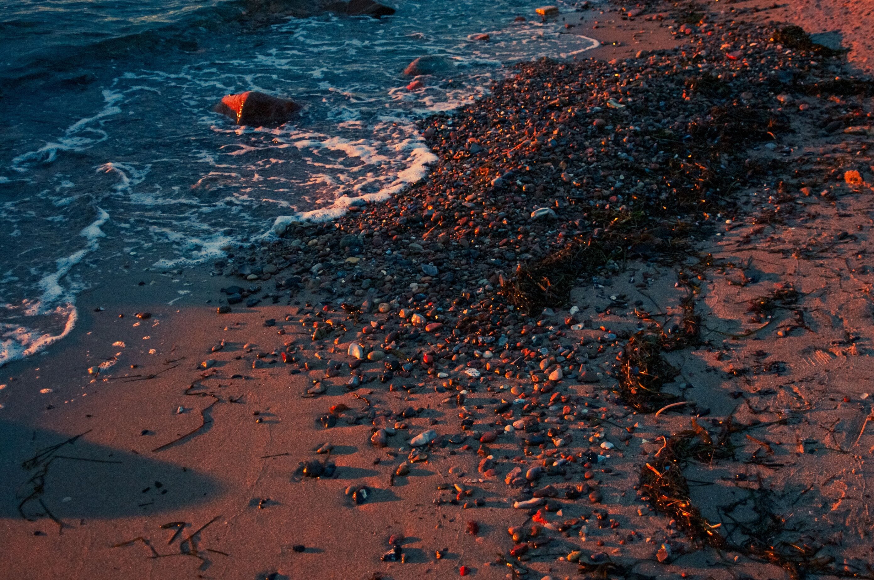 Uma praia com pedras e algas espalhadas.