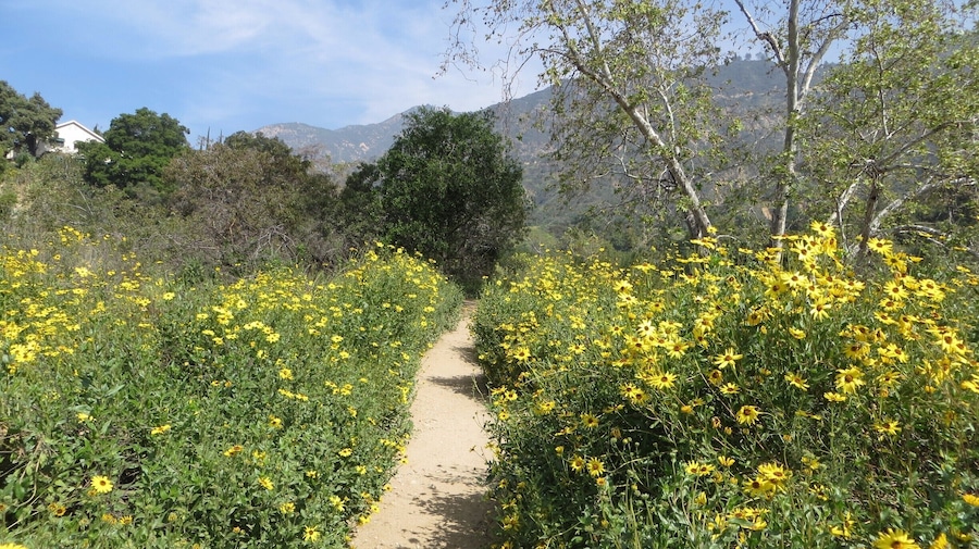 The hike to Eaton Canyon Falls takes you a nice year-round waterfall in Southern California.#TakeAHike