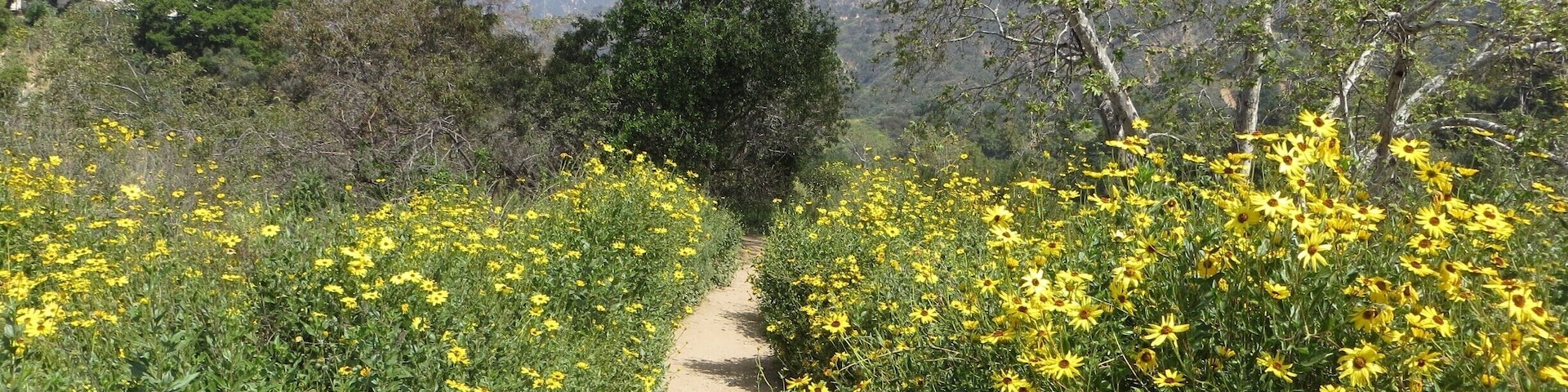 The hike to Eaton Canyon Falls takes you a nice year-round waterfall in Southern California.#TakeAHike