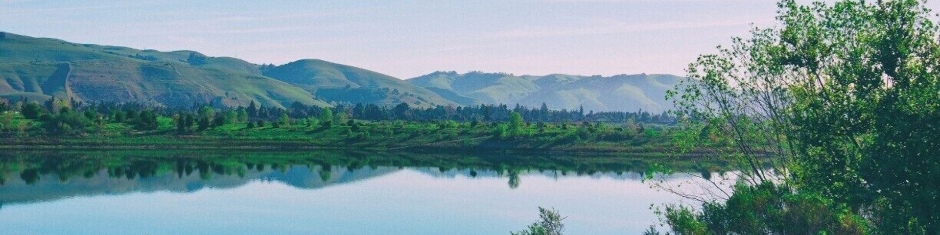 A wonderful little area in the East Bay for little hiking, jogging, and a family-friendly atmosphere.