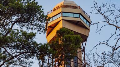 Uma torre moderna com um design geométrico único, rodeada por pinheiros.