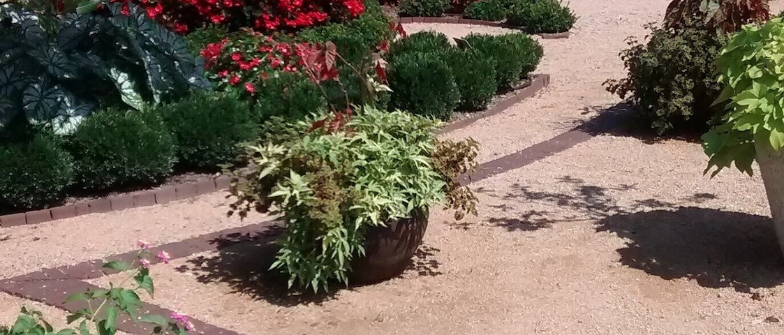 Fall color at Ceiner Gardens.