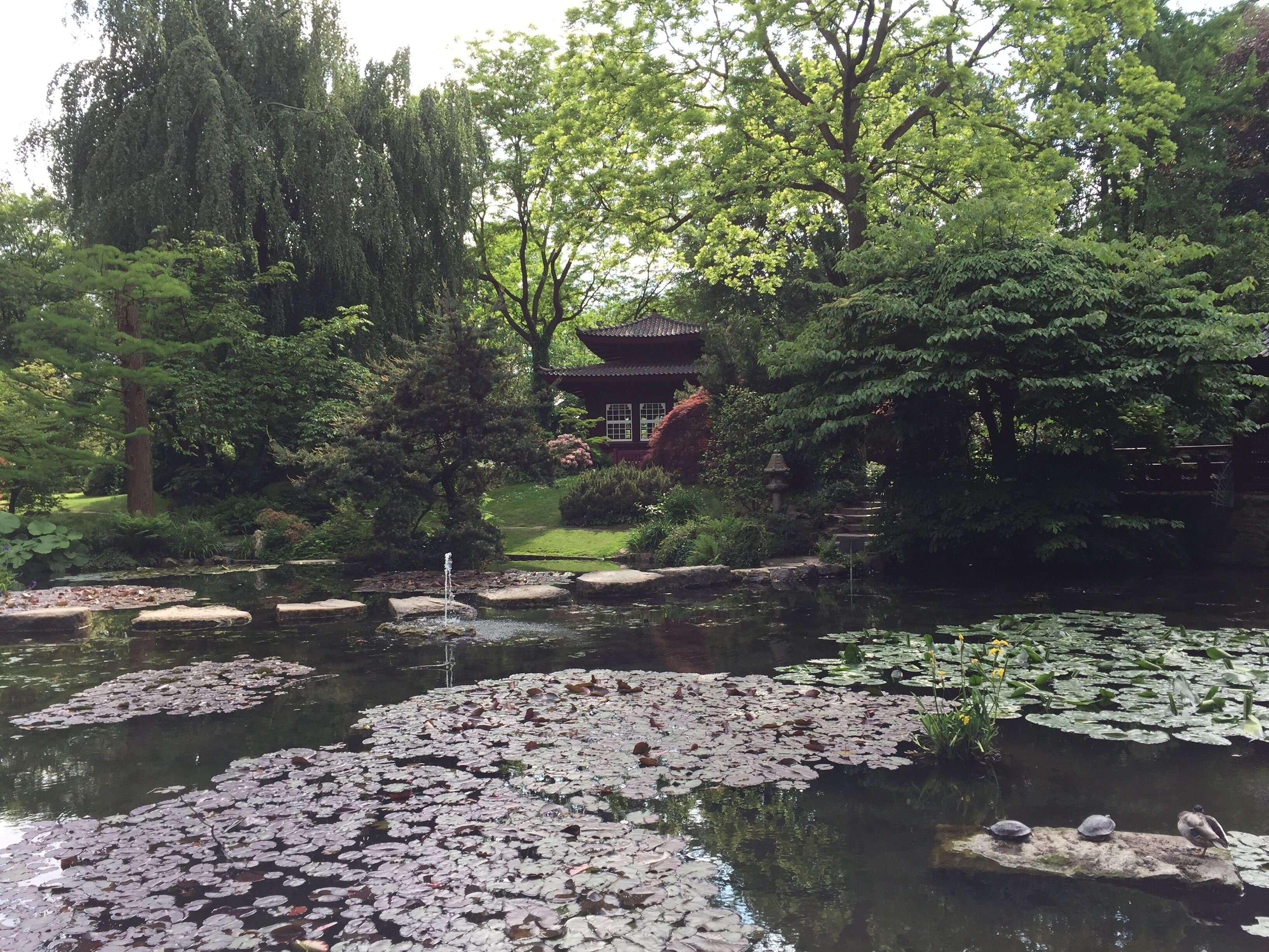 such a peaceful place 

#aquatrover
#architecture
#nature