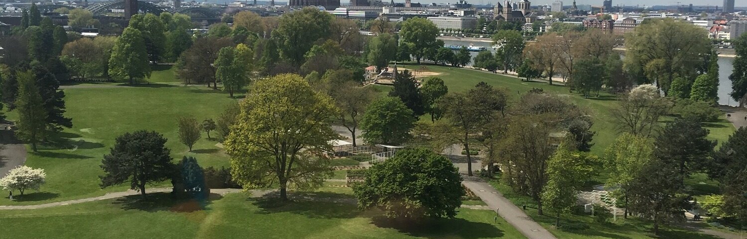 You see the Cologne cathedral in the background and the Rheinpark in the front, a local recreation area beside the river Rhine.