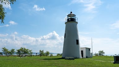 Um farol branco com topo preto, rodeado por um campo gramado e algumas árvores.