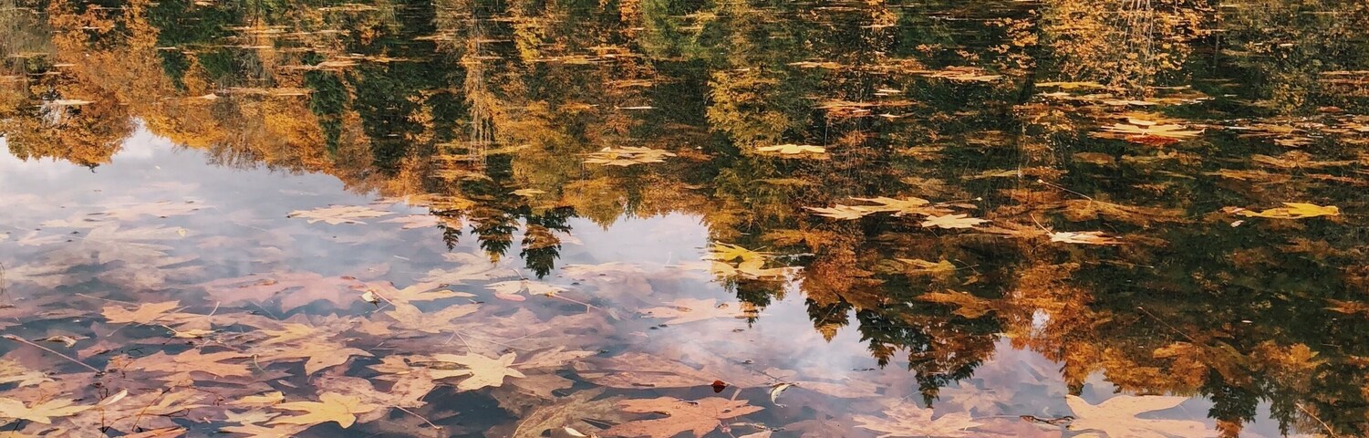 A little sad the fall season is almost over but definitely excited for snowy adventures. This is my favorite neighborhood park. It's a perfect place for relaxing by the lake, enjoying a lovely reflection, and running & walking the trail.
