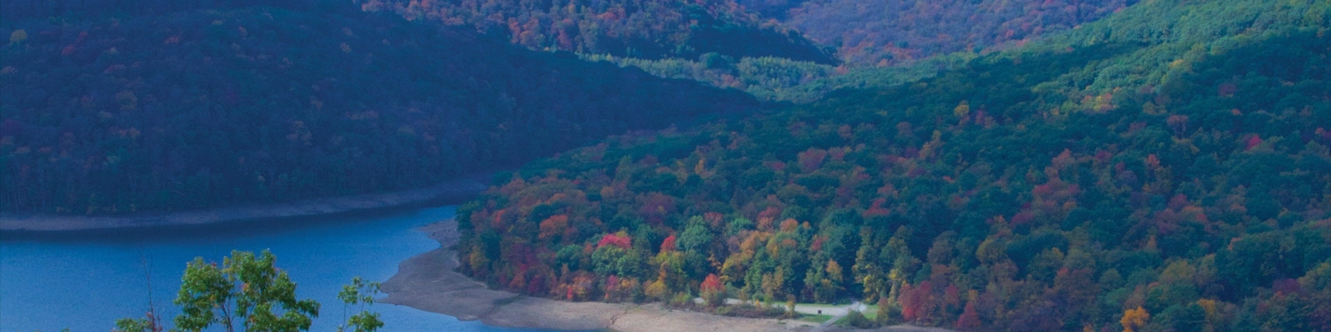 Bradford featuring landscape views and forest scenes