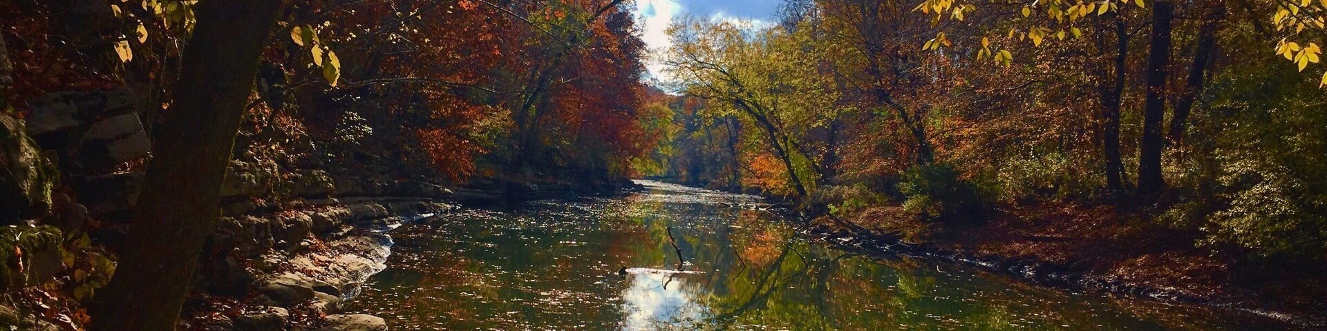 Fun picturesque park. Dog friendly.