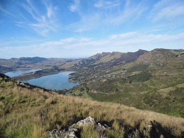 This stunning climb gives great views of Christchurch and the surrounding areas. Its so beautiful that even the sheep stop to enjoy the scenery. #troveon #sugarloaf #christchurch #newzealand #southisland #hills