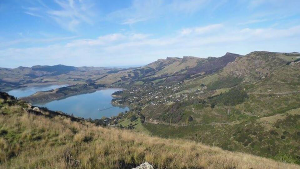 This stunning climb gives great views of Christchurch and the surrounding areas. Its so beautiful that even the sheep stop to enjoy the scenery. #troveon #sugarloaf #christchurch #newzealand #southisland #hills