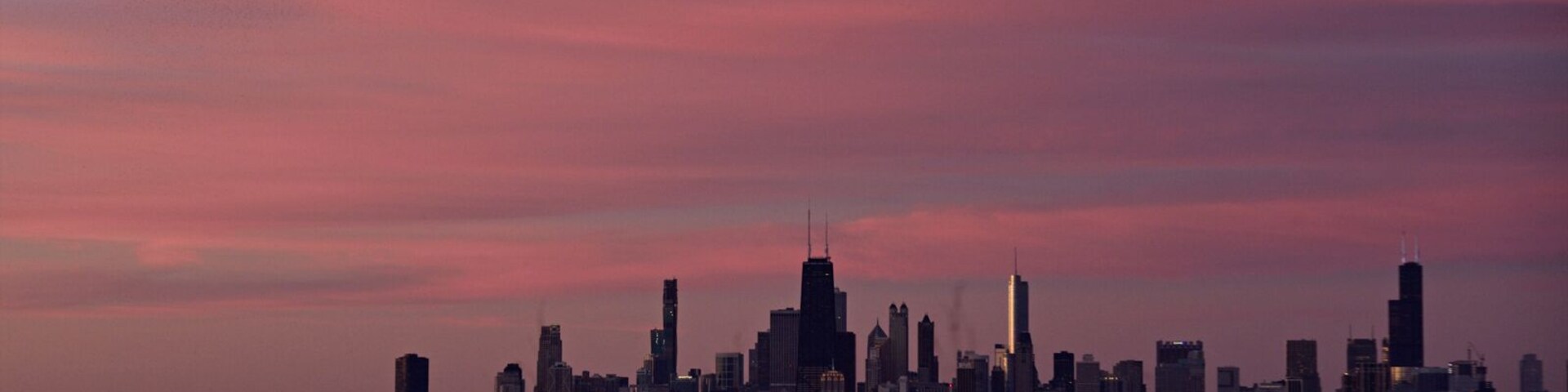 i have posted similar shots but i thought this sunrise was extraordinary. The flowers in the foreground were past their prime but the skyline dominates the image.