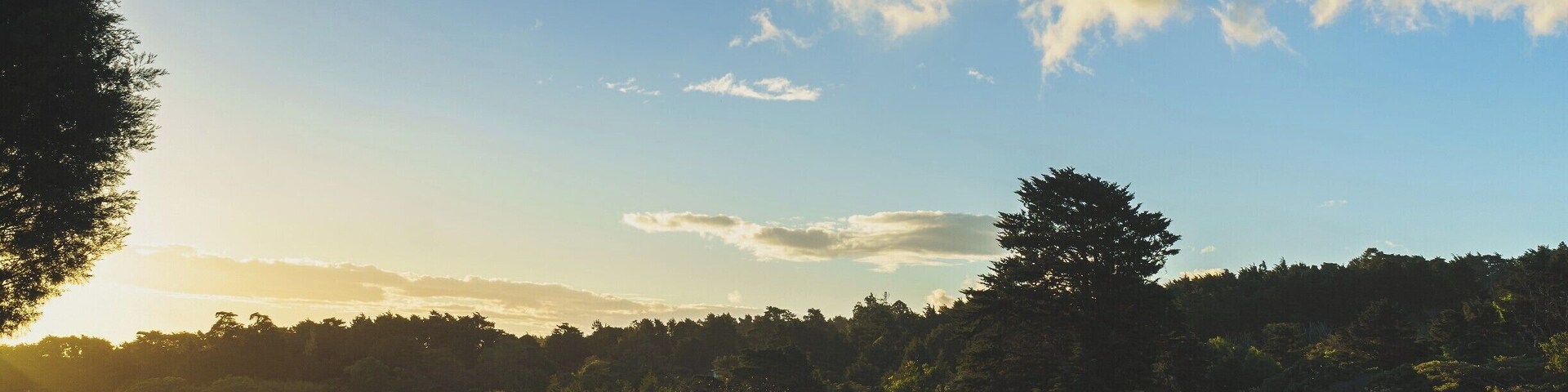 Looking for a place to shoot sunset with a friend, one of the places we had in mind was The Leaf Forest but... the place closed earlier that day, leaving us without any option. We started going down the road and we saw some parked cars at a side next to an empty ranch. With few minutes left of this beautiful golden hour, this shot became one of my favorites from this trip!