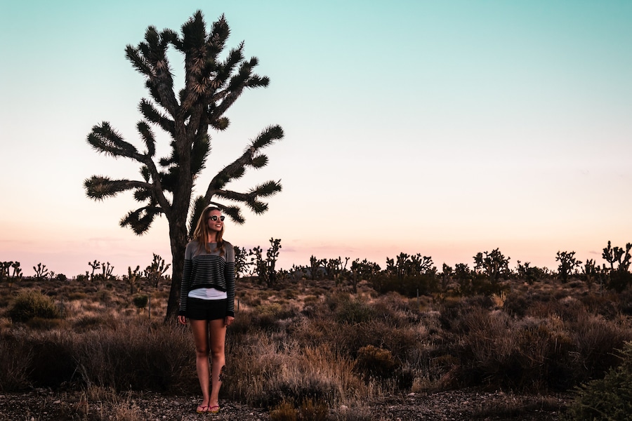 Uma pessoa em uma paisagem desértica com um grande cacto saguaro.
