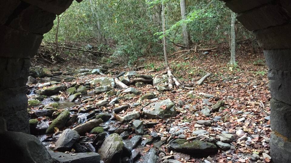 Exploration in Bryson City, NC.