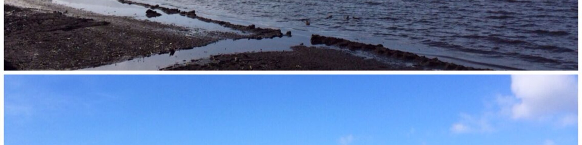 Took a little lunch-time walk around this park today. Saw a few people and a bunch of napping ducks.