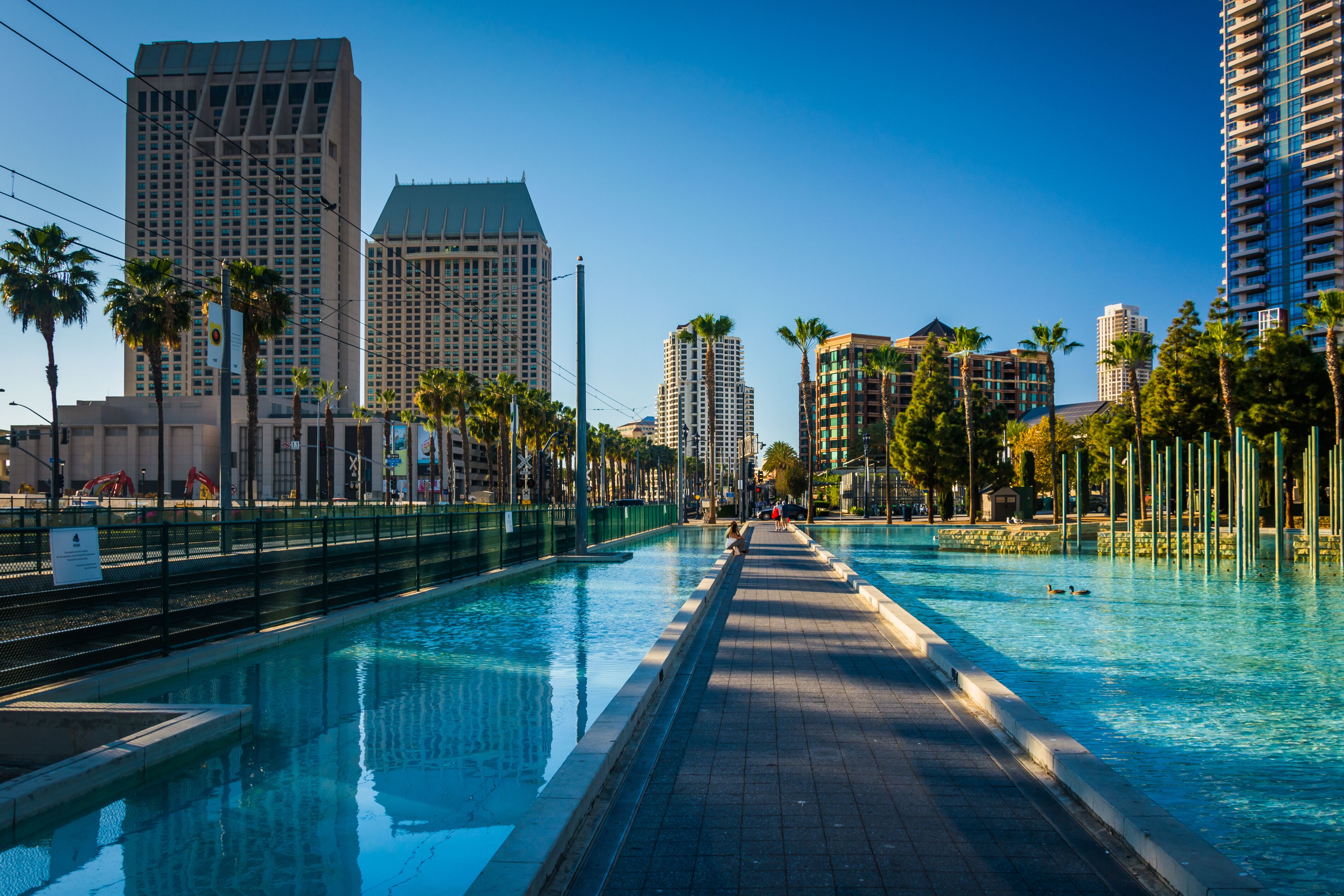 Paisagem urbana com uma piscina comprida e estreita, ladeada por palmeiras e edifícios modernos e altos.