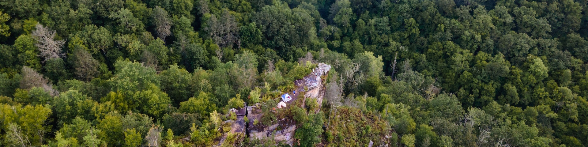 Uma floresta densa com um afloramento rochoso e um pequeno edifício.