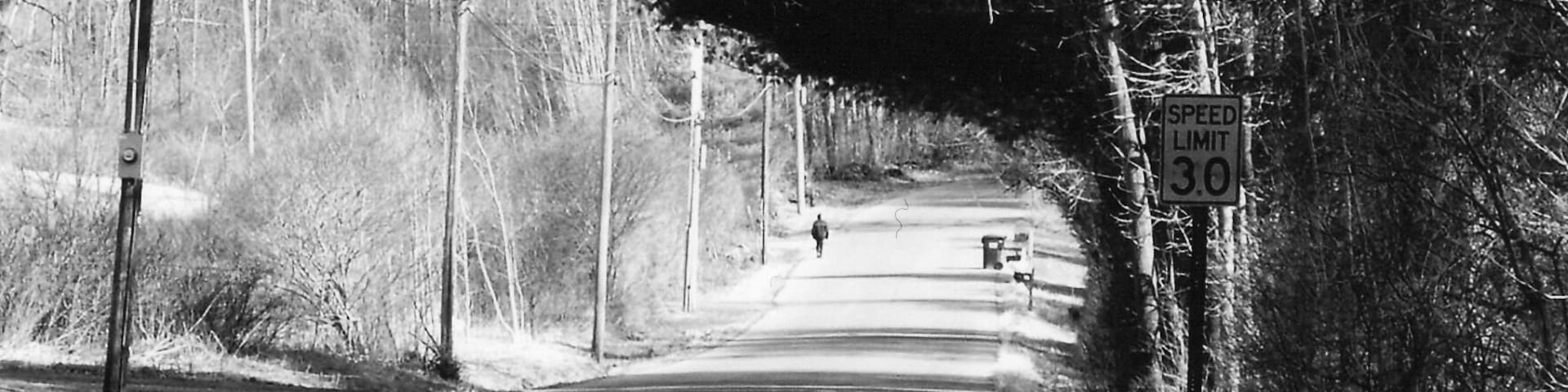 A road near Tanglewood. Driving through the Berkshires is never a disappointing #roadtrip