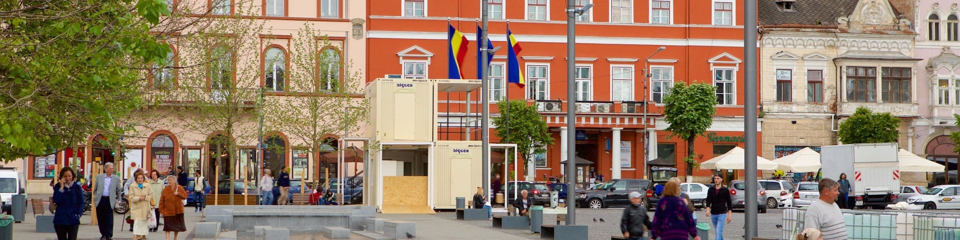 Cluj-Napoca