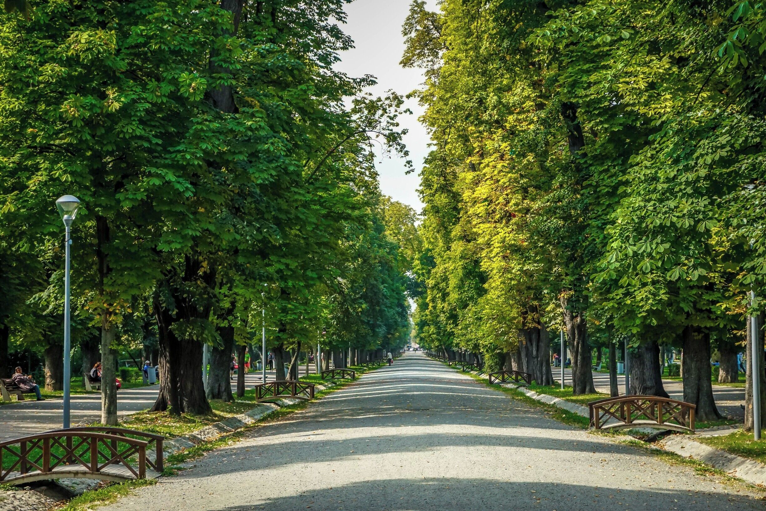 Rua arborizada com bancos e uma ponte para pedestres.
