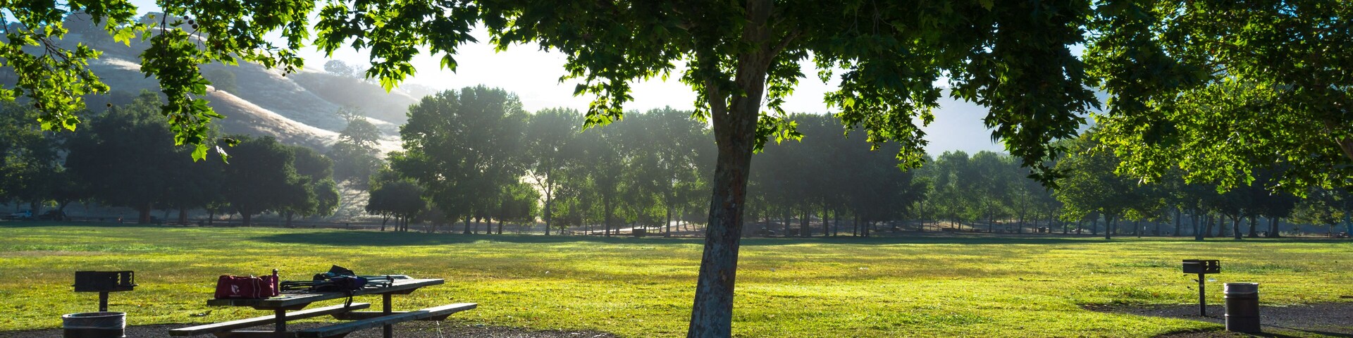 Um parque com uma mesa de piquenique, um contentor de lixo e um banco.