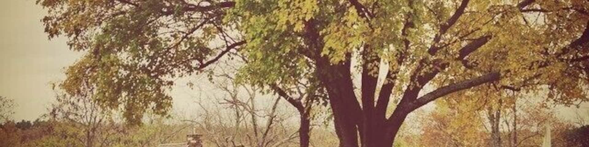 I visited the plantation on a chilly November morning. Revolutionary reenactors were there to do gun demos and various activities with visitors. It was really beautiful and the tour guides of the plantation house were not only informative, but clearly in love with what they do.