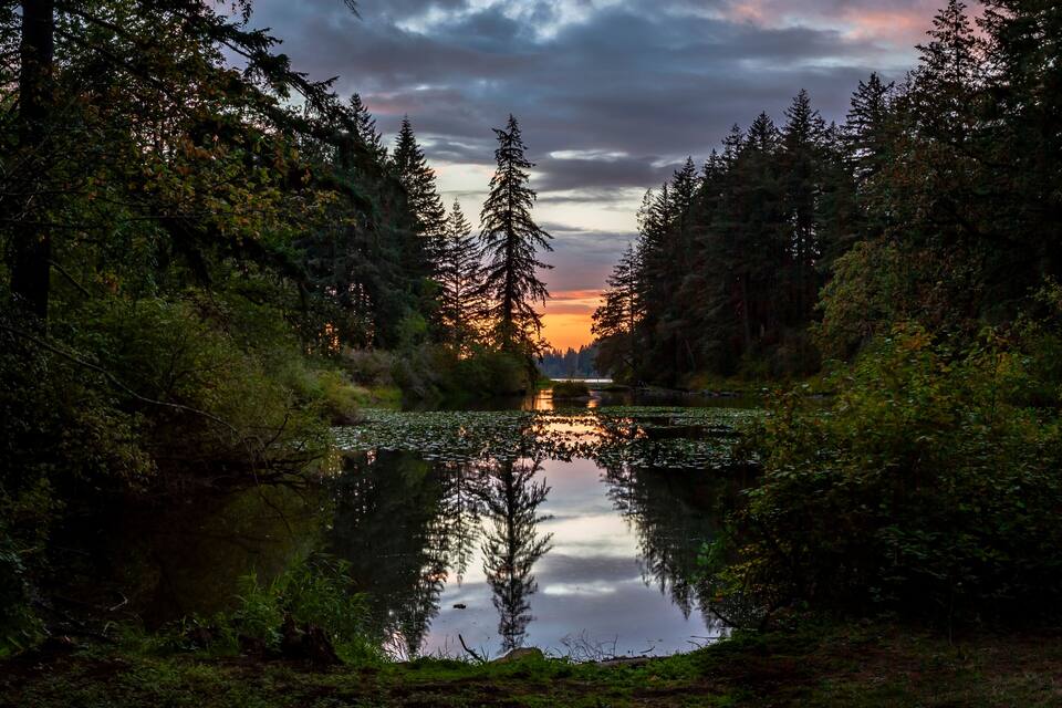 Cena serena de floresta com um lago tranquilo refletindo árvores e um pôr do sol ao fundo.