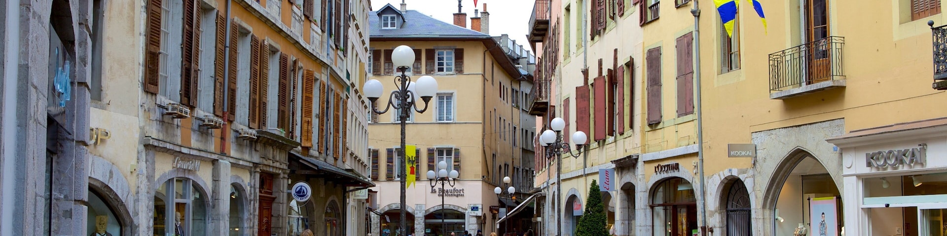Chambery showing a fountain, street scenes and heritage architecture